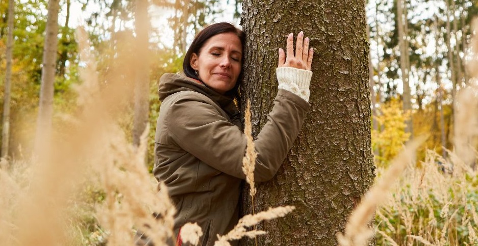 Forest Bathing: ai Boschi di Carrega (PR) si fa il bagno nella foresta ...