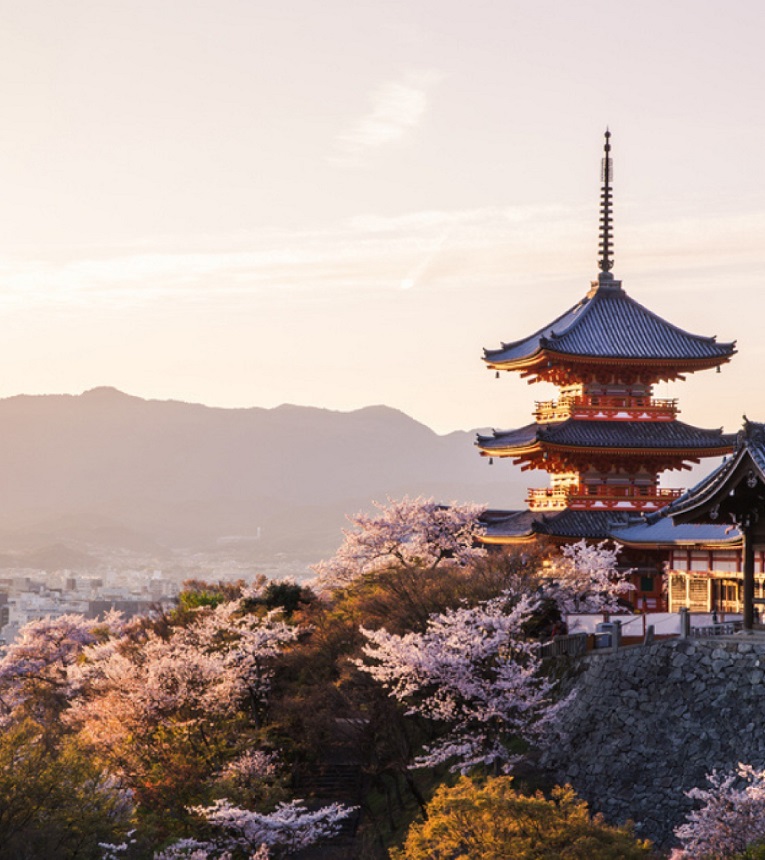 Alidays: il tour operator milanese svela il progetto che c’è dietro ai ...