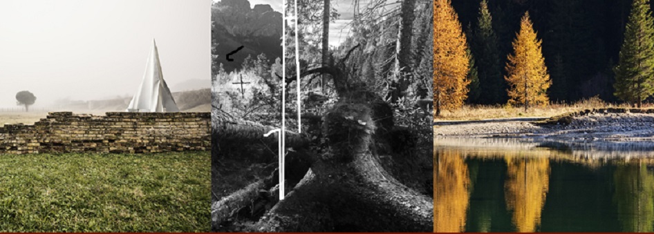 Milano: “TREE”, progetto artistico con l’esposizione da MADE4ART delle ...