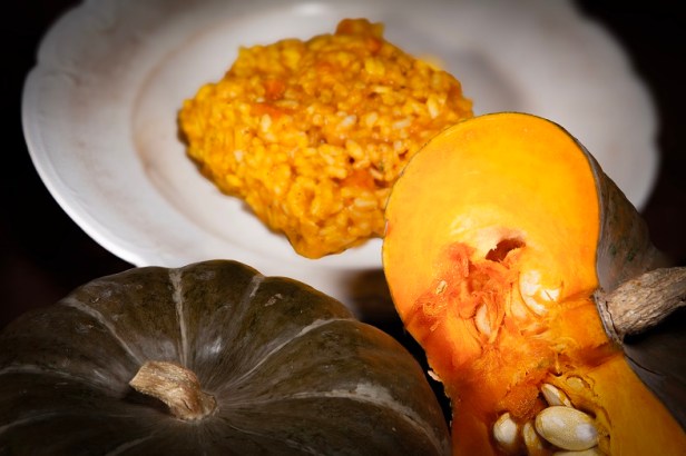 La zucca di Piozzo è un nuovo Presidio Slow Food: una cucurbitacea da ...