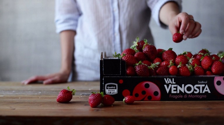 Fragole Val Venosta, missione dolcezza: non solo semplici frutti ma ...